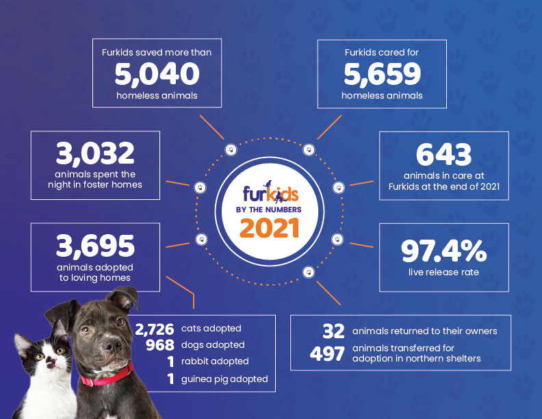 Statistics | Furkids - Georgia’s Largest No Kill Animal Rescue & Shelters