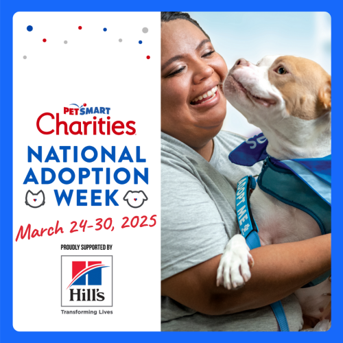Petsmart National Adoption Week - Spring 2025 | Furkids - Georgia’s ...